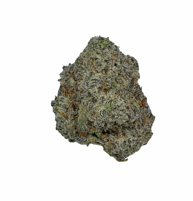 Happy Camper - Mastertokes