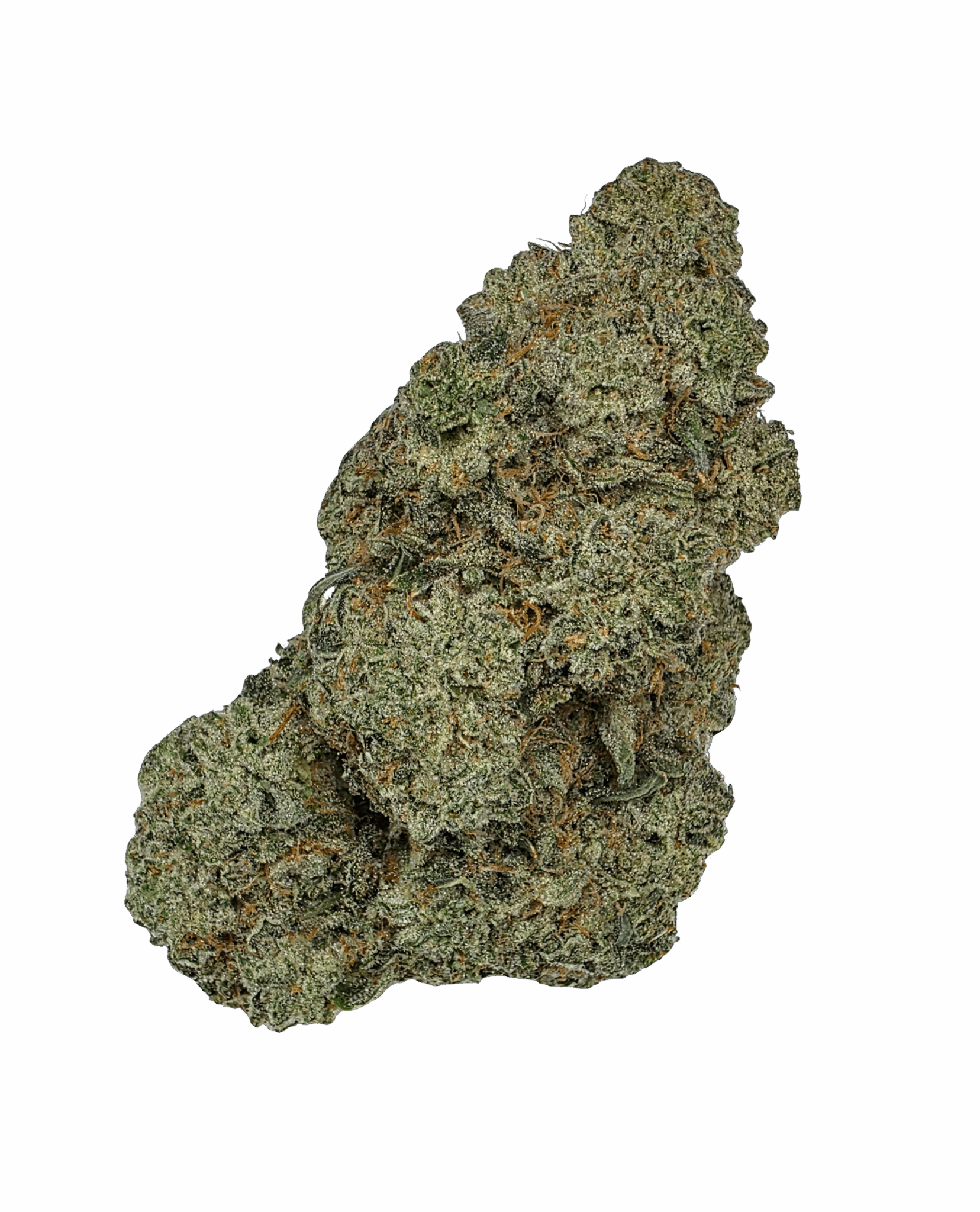 Money Maker - Mastertokes